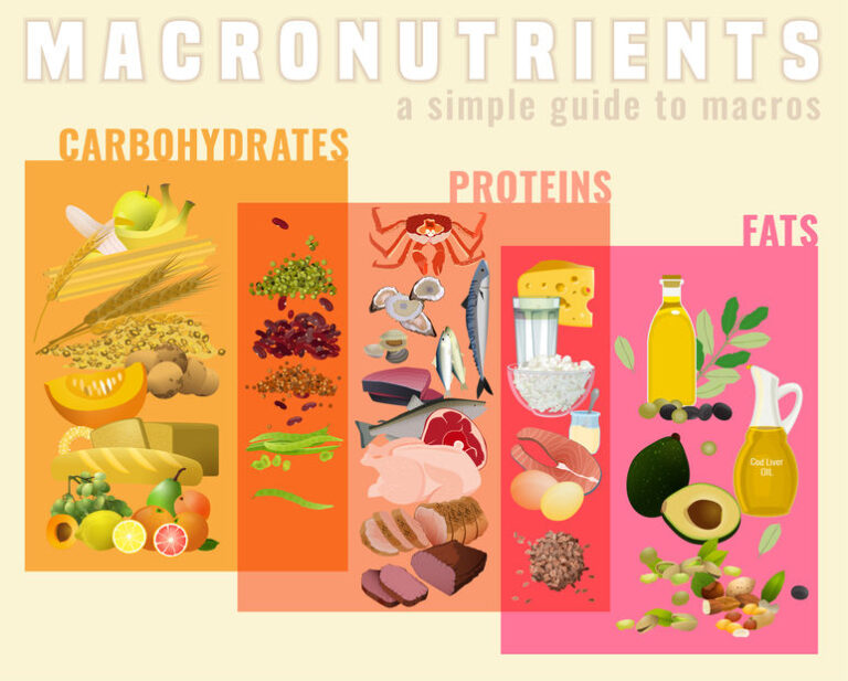A Macronutrient Breakdown for National Nutrition Month - BEK Medical